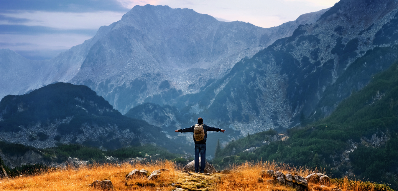 Strategic Wander - Strategic Wander